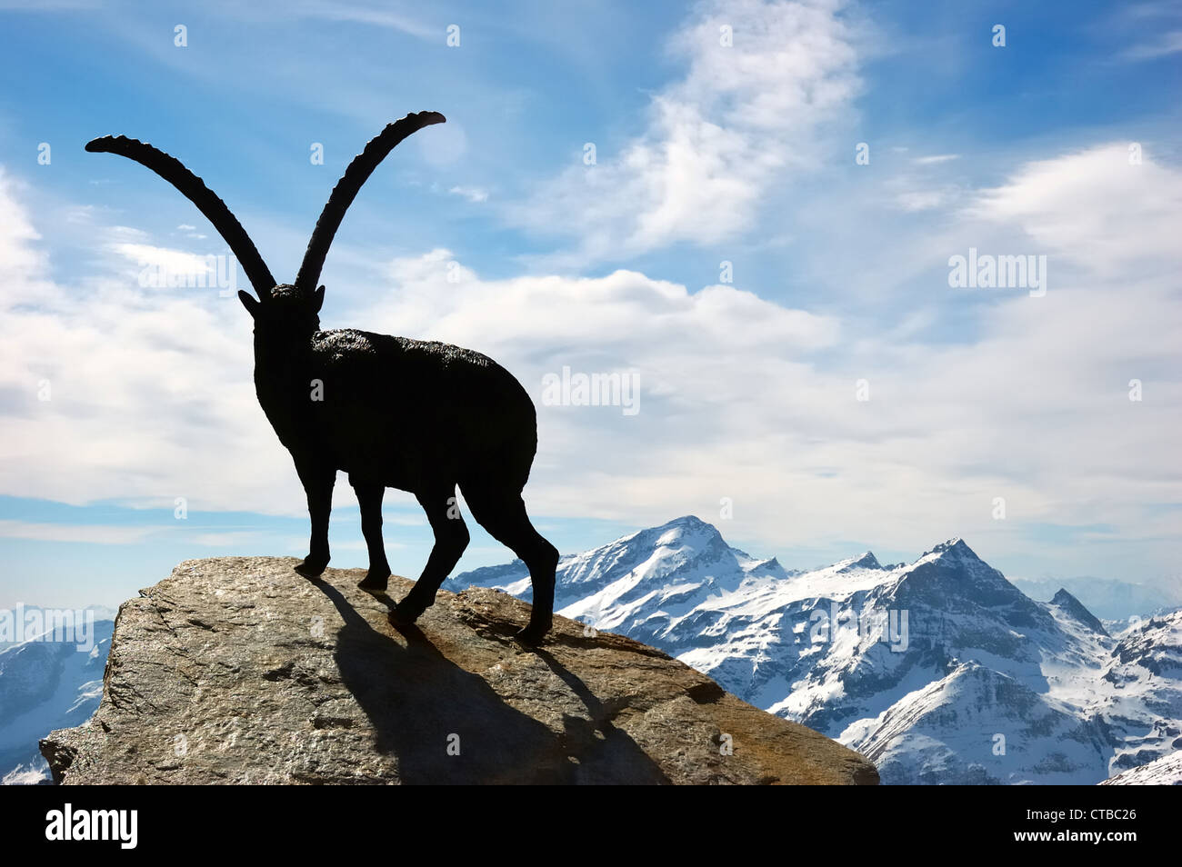 Back view of a steinbock statue hi-res stock photography and images - Alamy