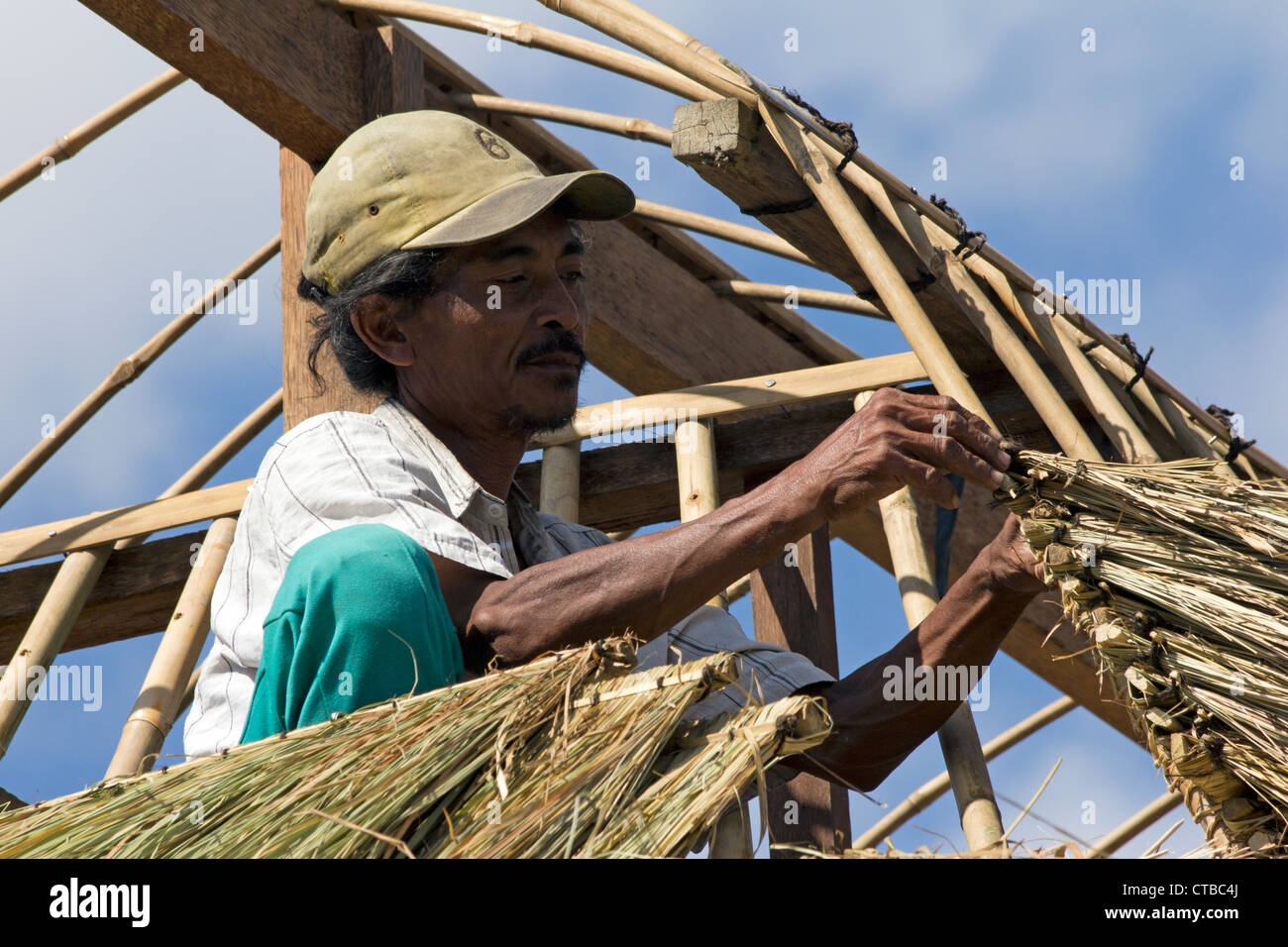Thatcher at work Ubud Bali Indonesia Stock Photo - Alamy