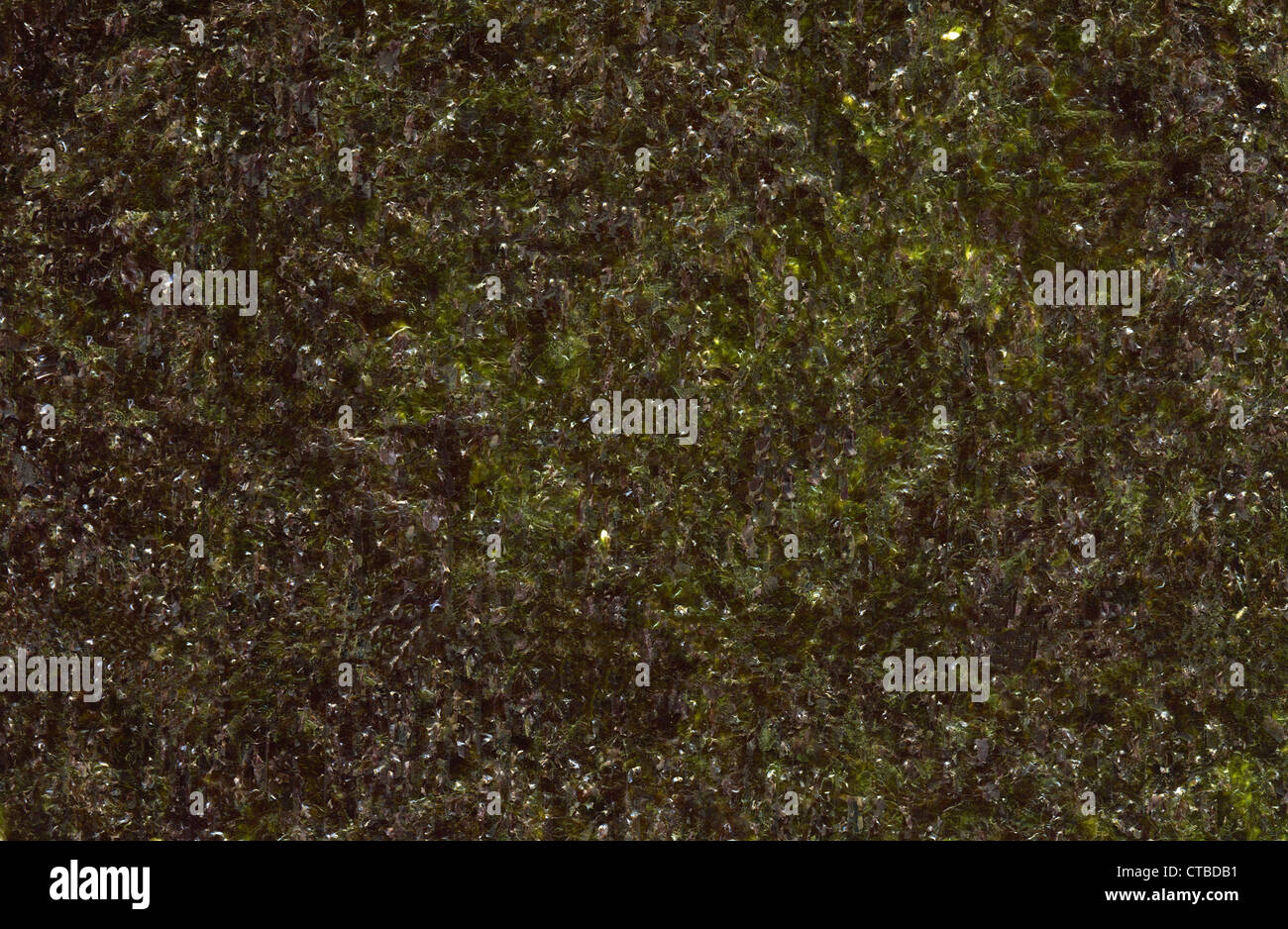 high resolution seaweed nori texture background Stock Photo - Alamy