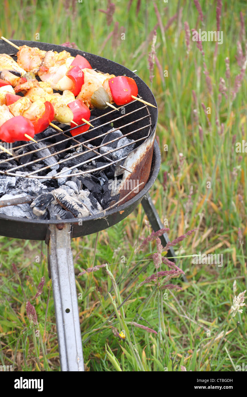 Barbecue with delicious grilled meat on grill BBQ Stock Photo - Alamy