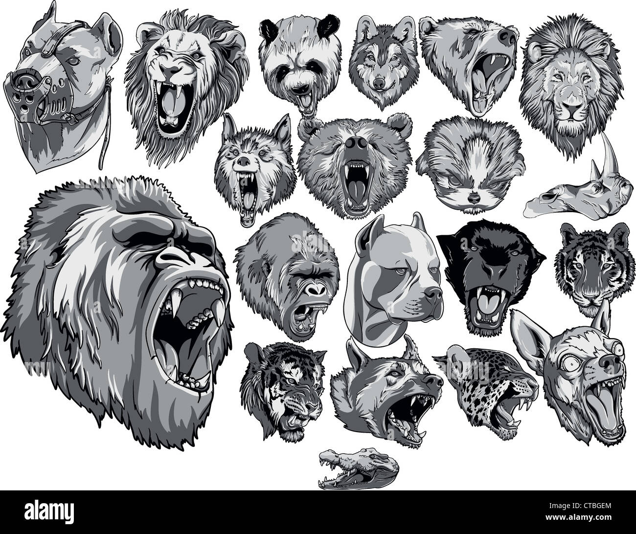 animals mega collection vector illustration Stock Photo - Alamy