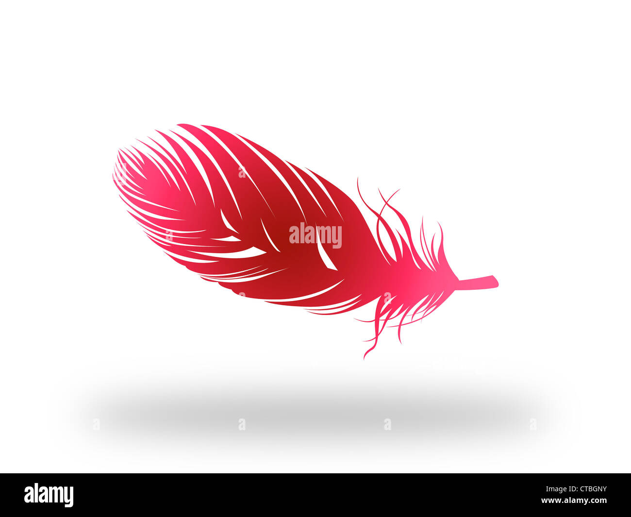A close up shot of a feather Stock Photo - Alamy