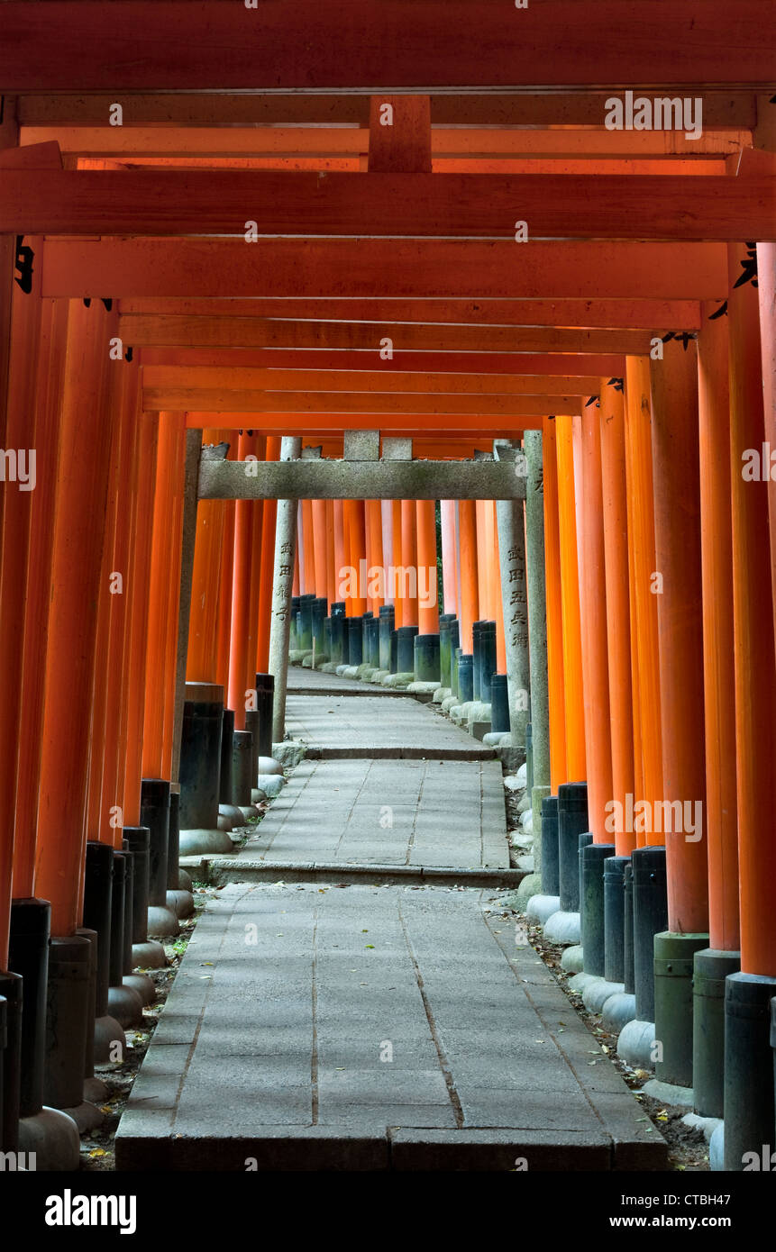 A thousand red torii gates (the Senbon Torii) stand at Fushimi Inari ...
