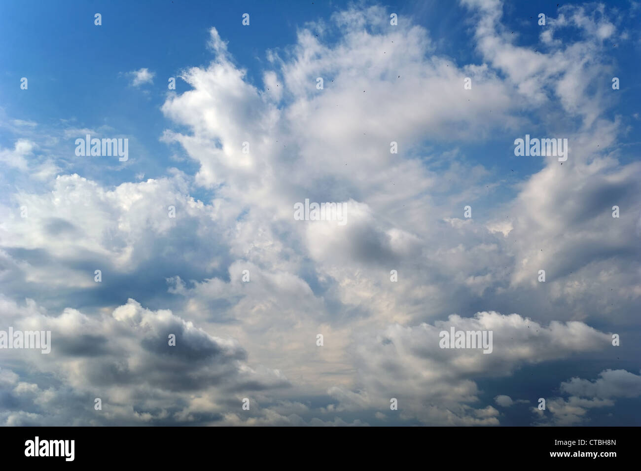 Cloudy sky with flying birds full of deep grey thunder clouds Stock ...