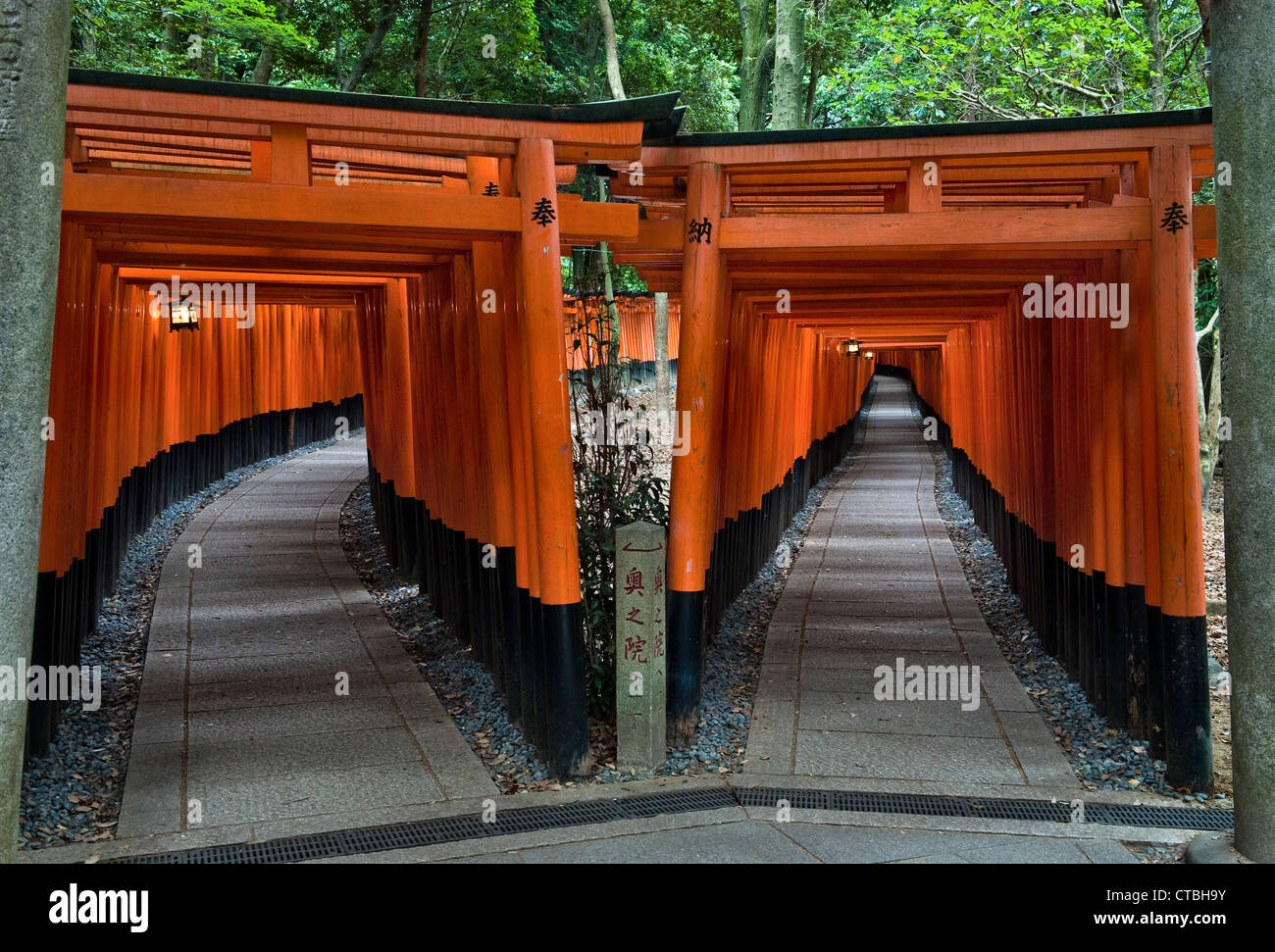 A thousand red torii gates (the Senbon Torii) stand at Fushimi Inari ...