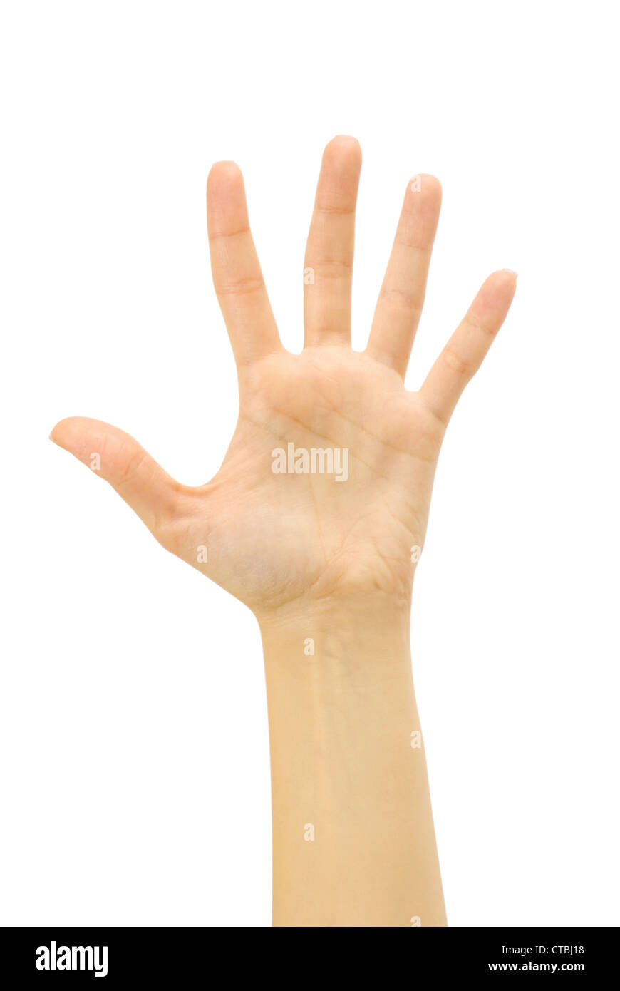 Woman hand (palm) isolated on white background Stock Photo - Alamy