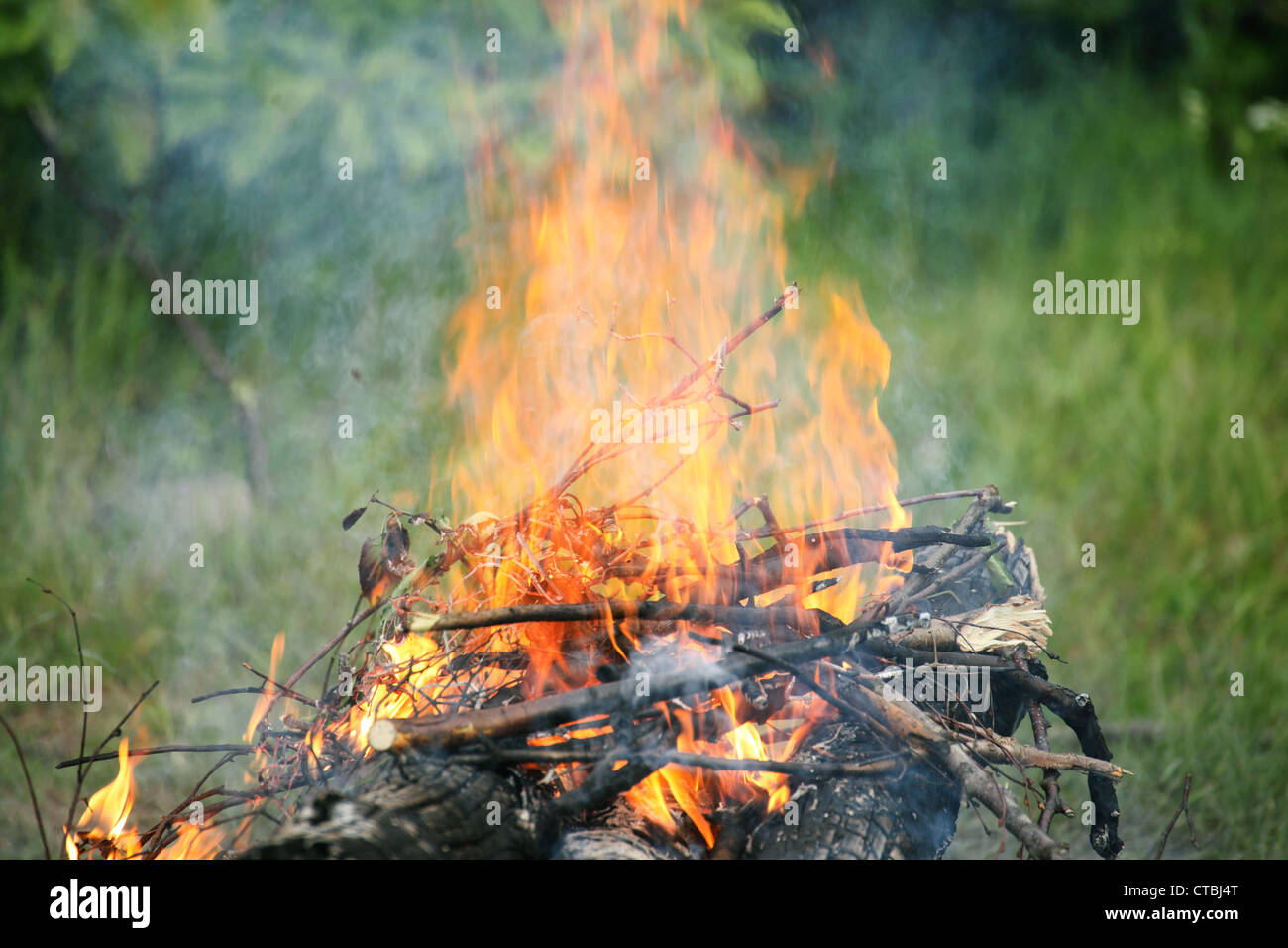 bonfire, campfire in the summer forest Stock Photo - Alamy