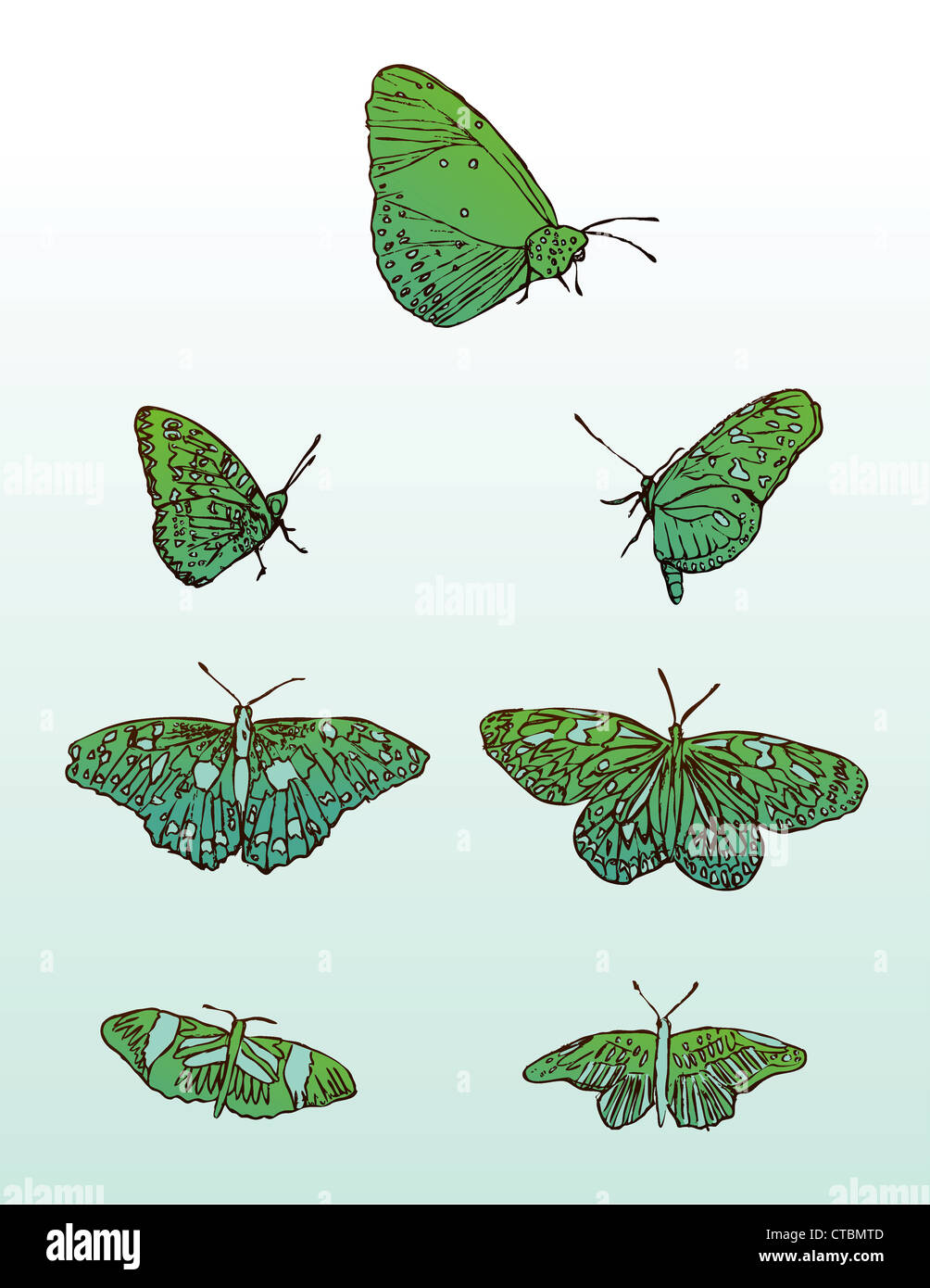 Selection of hand drawn butterflies Stock Photo - Alamy