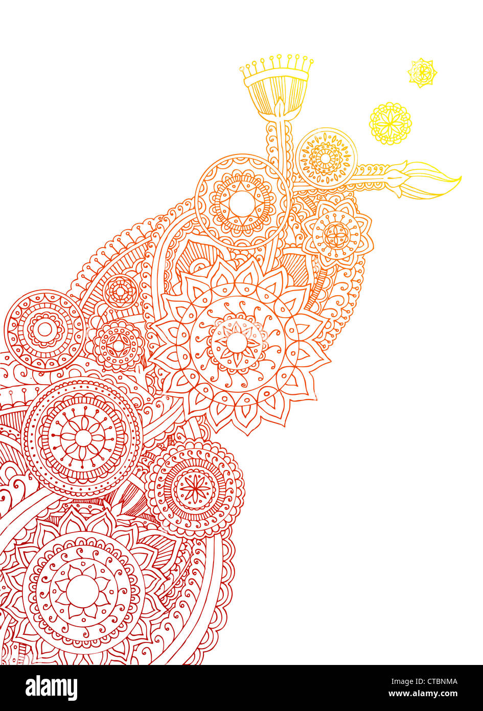 Ornate henna growing from one side Stock Photo - Alamy