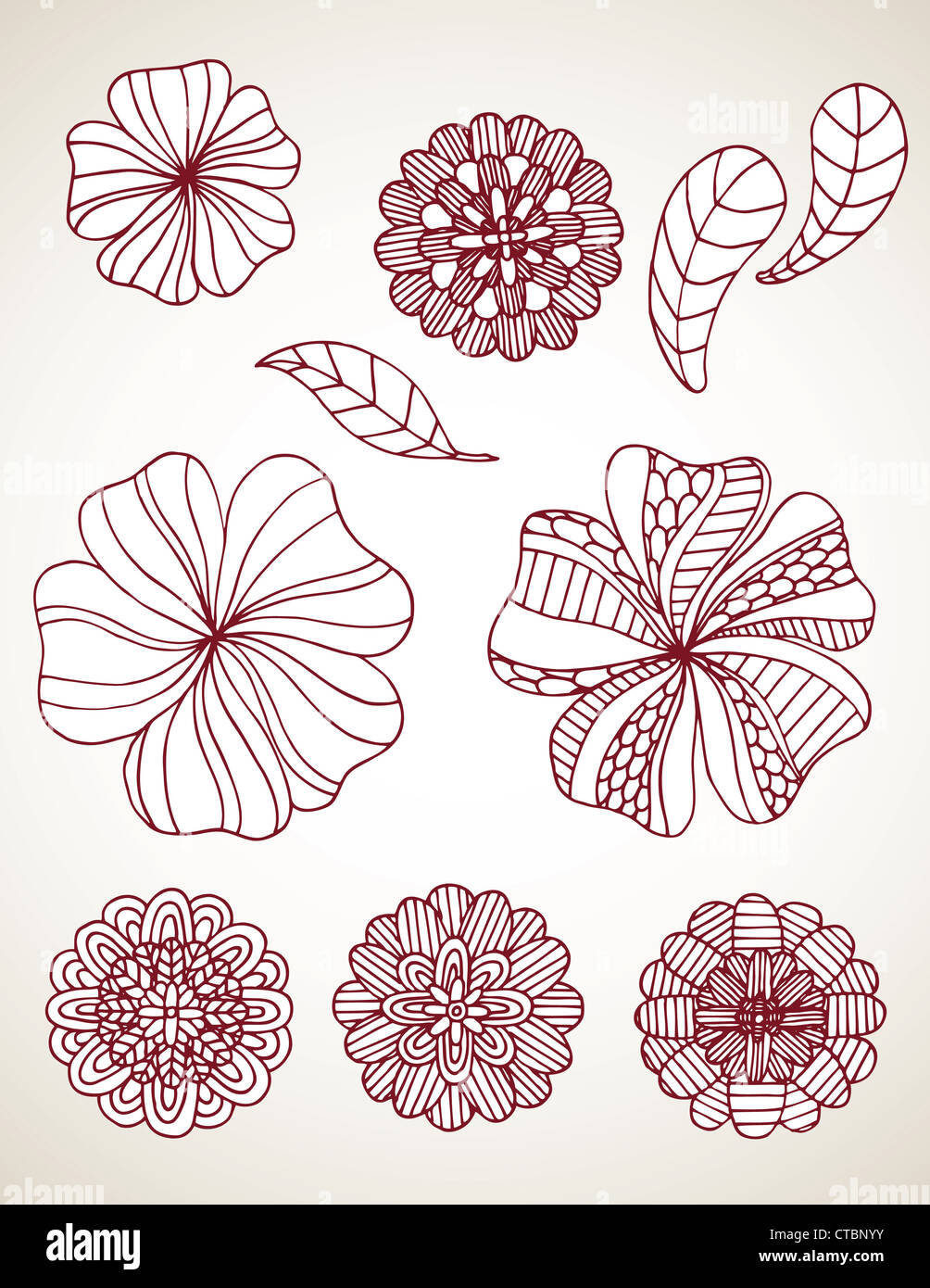 Flowers line drawing hi-res stock photography and images - Alamy