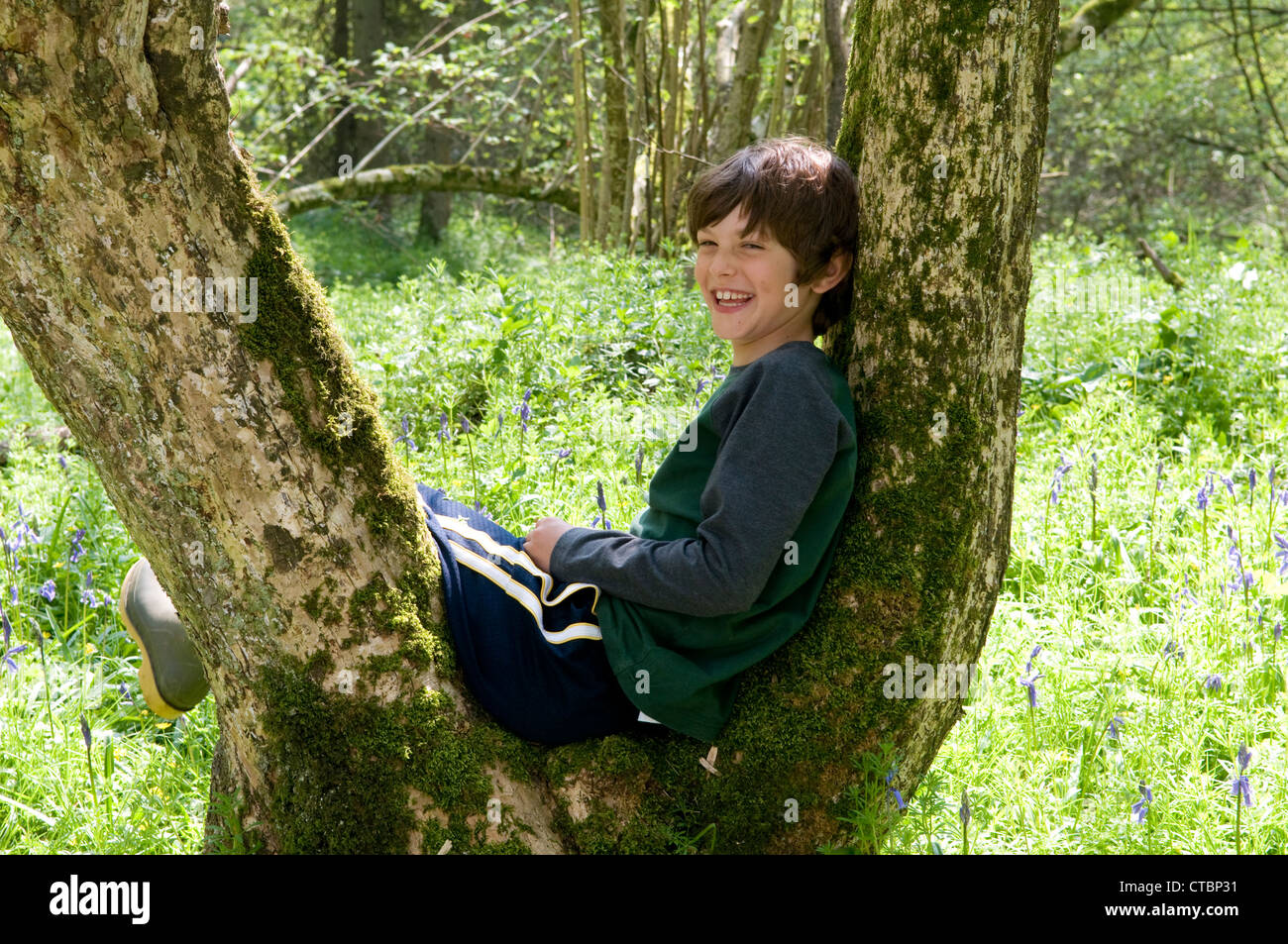 Portrait of a young boy sitting in a tree laughing Stock Photo - Alamy