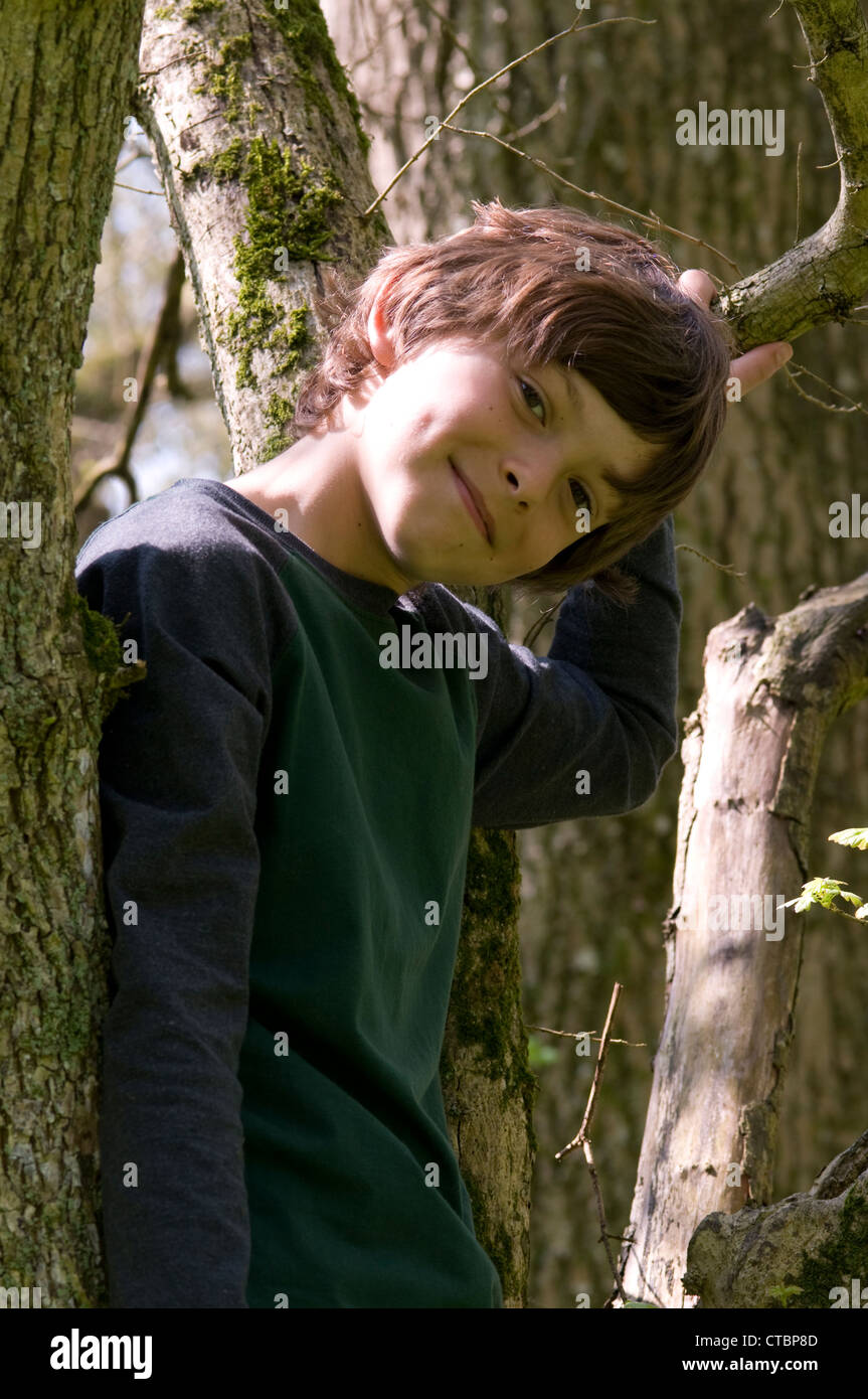 Portrait of a young boy sitting in a tree Stock Photo - Alamy