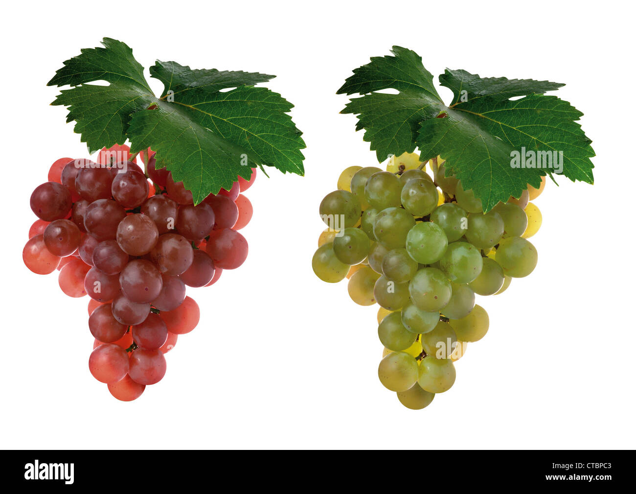 Grape cut out hi-res stock photography and images - Alamy