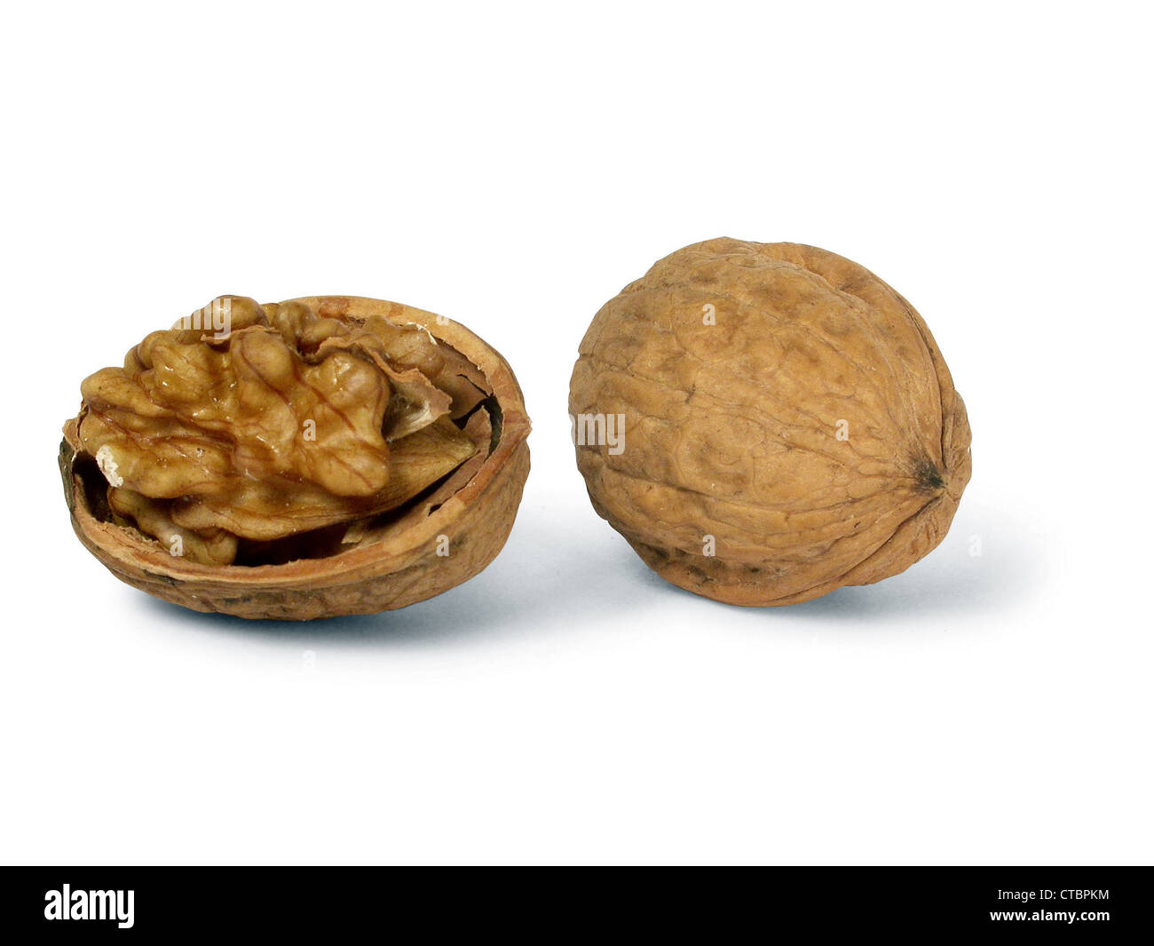 Macro peeled walnut kernel Cut Out Stock Images & Pictures - Alamy