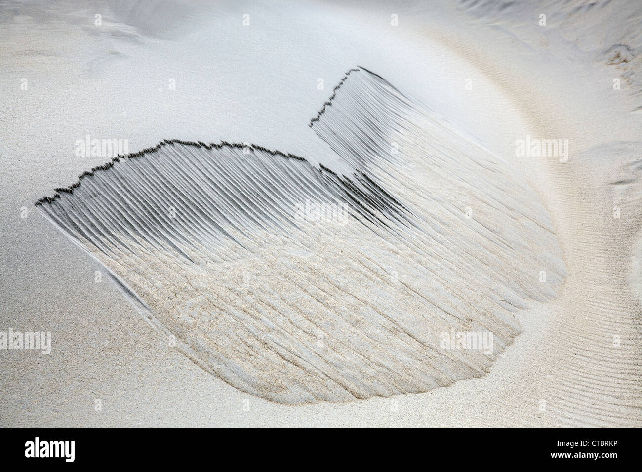 Dunes sandfly bay dunedin otago hi-res stock photography and images - Alamy