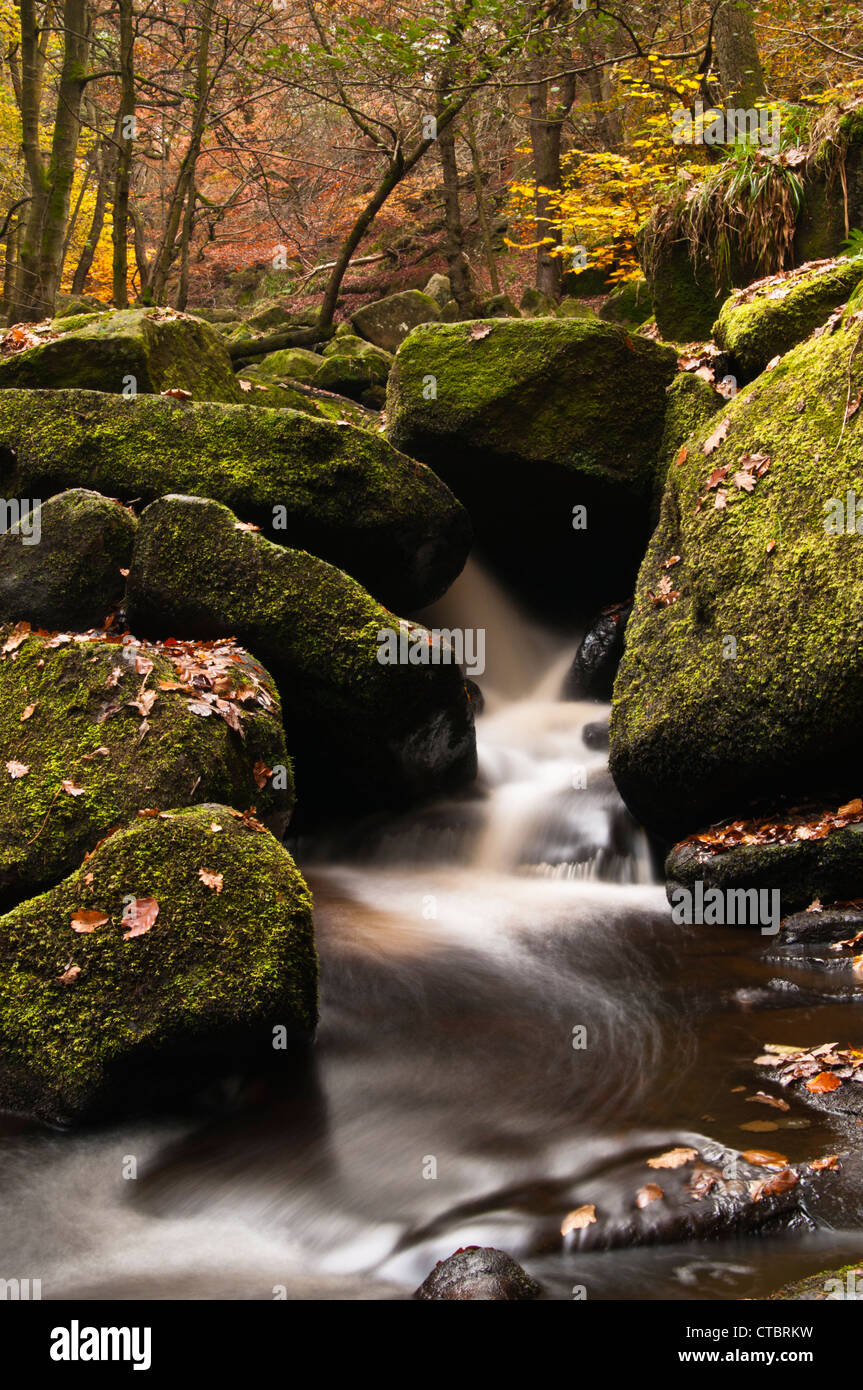 Burbage Brook flows through huge boulders amongst the golden autumn ...