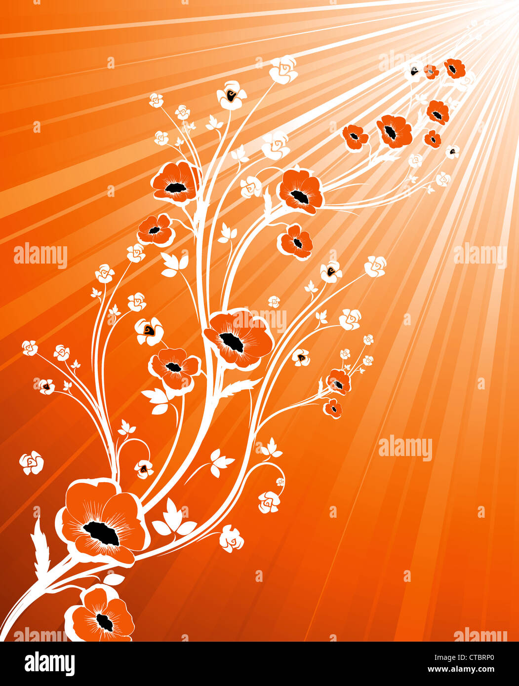 vector anstract floral illustration with rays background Stock Photo ...