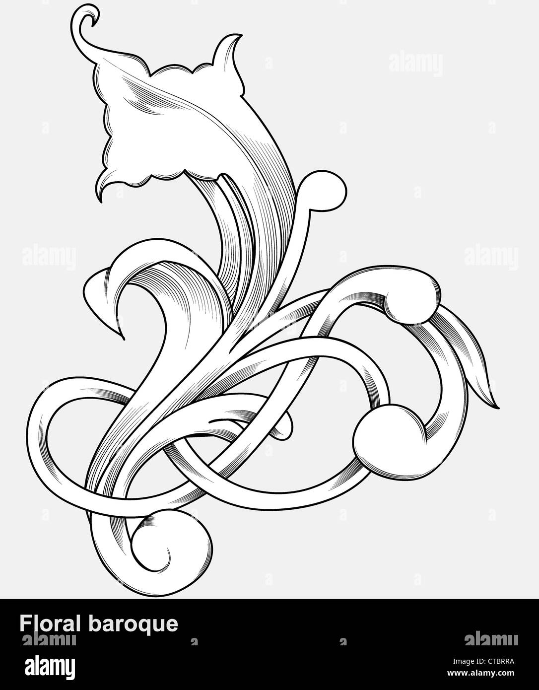 baroque vector floral Stock Photo - Alamy