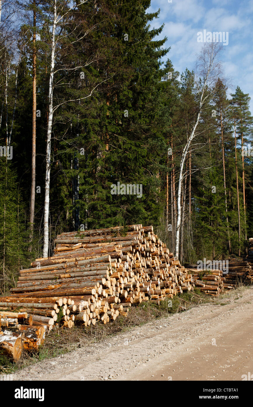 Cut heap industry log material saw hi-res stock photography and images ...