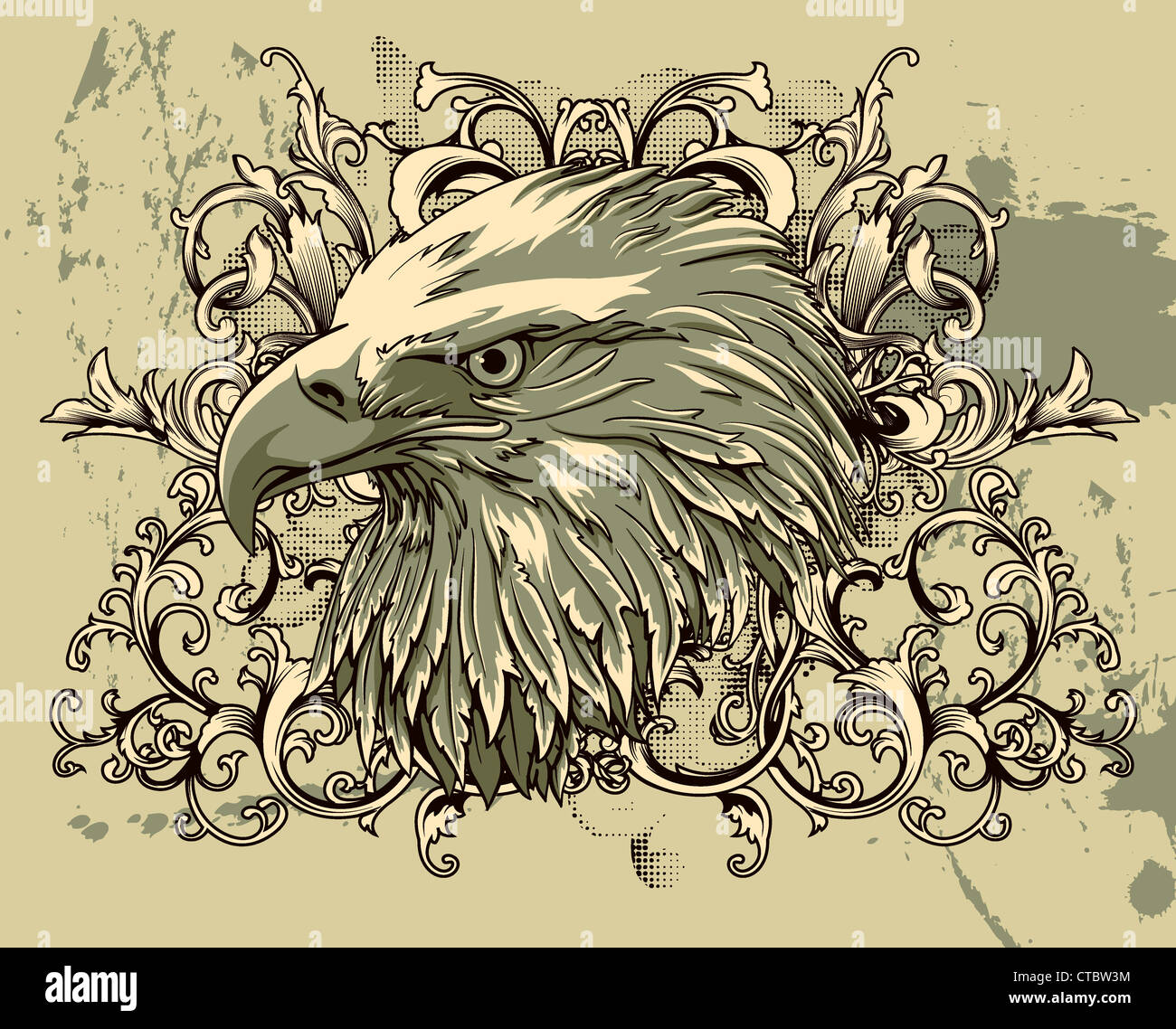 vector vintage illustration with eagle Stock Photo - Alamy