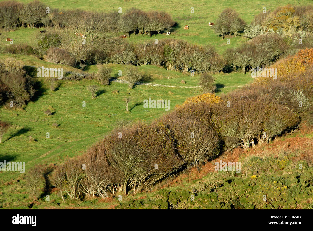 Army ranges hi-res stock photography and images - Alamy