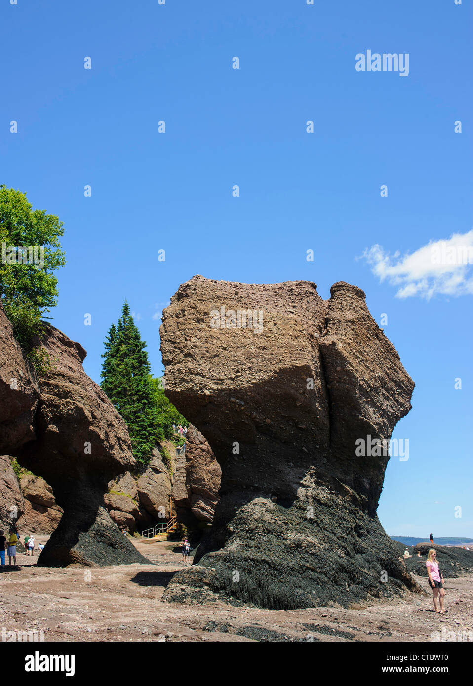 Bay Of Fundy Hopewell Rocks High Resolution Stock Photography and ...