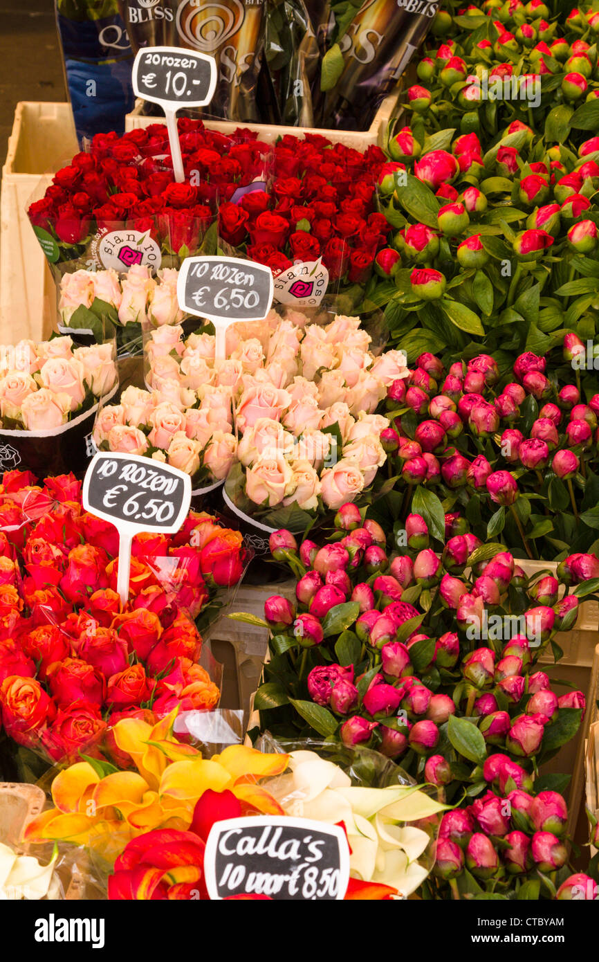 Roses for sale at Flower market Stock Photo - Alamy