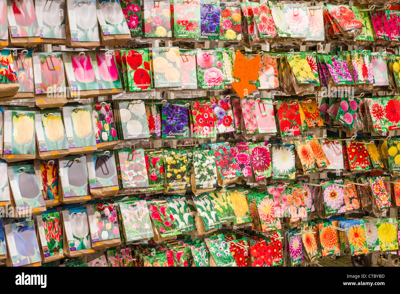 Tulip and dahlia bulbs for sale Stock Photo - Alamy