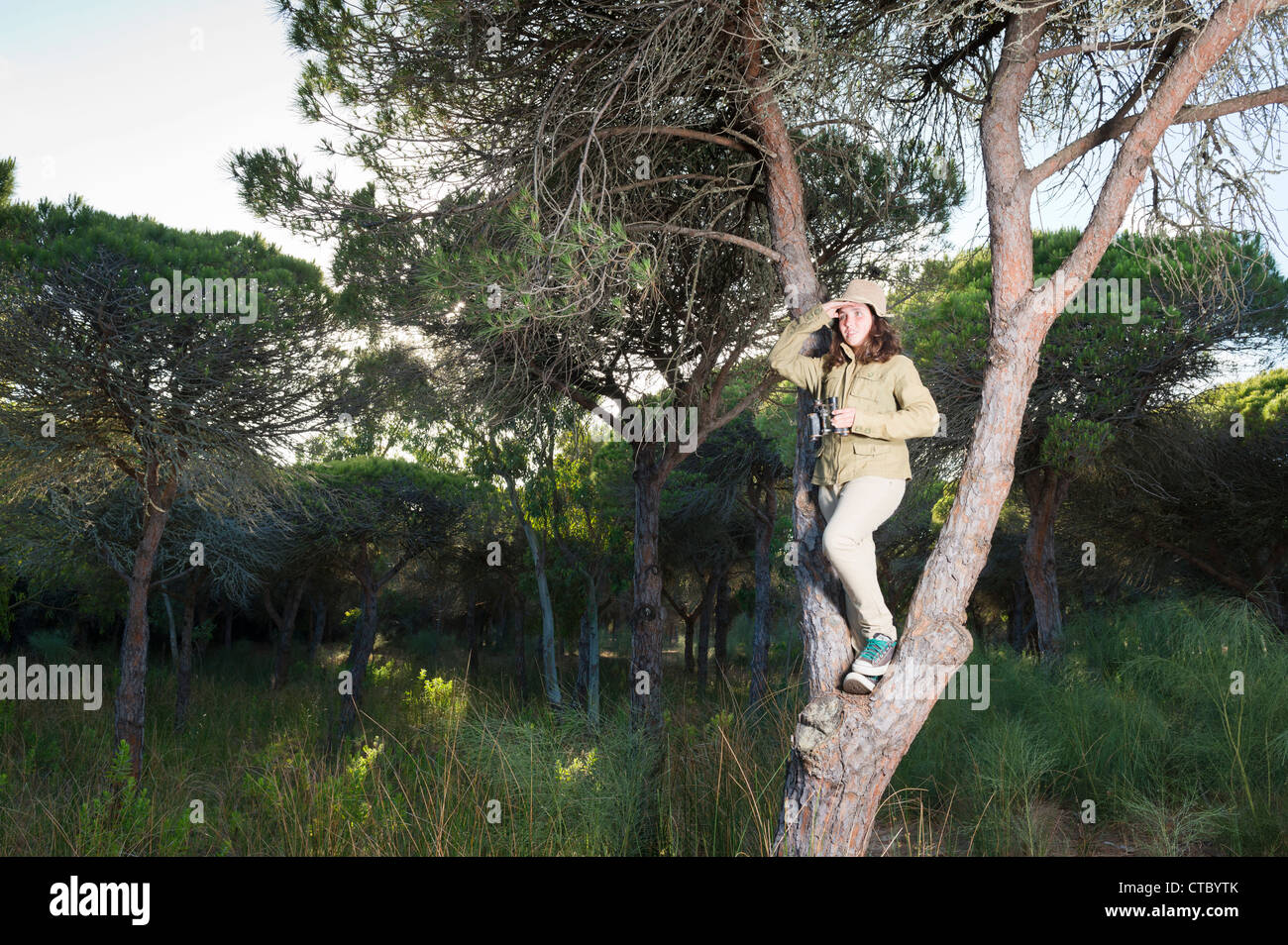 Girl on top of a tree Stock Photo - Alamy