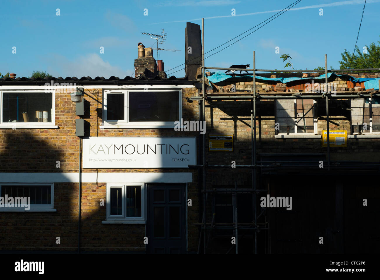 Cat on the roof hi-res stock photography and images - Alamy