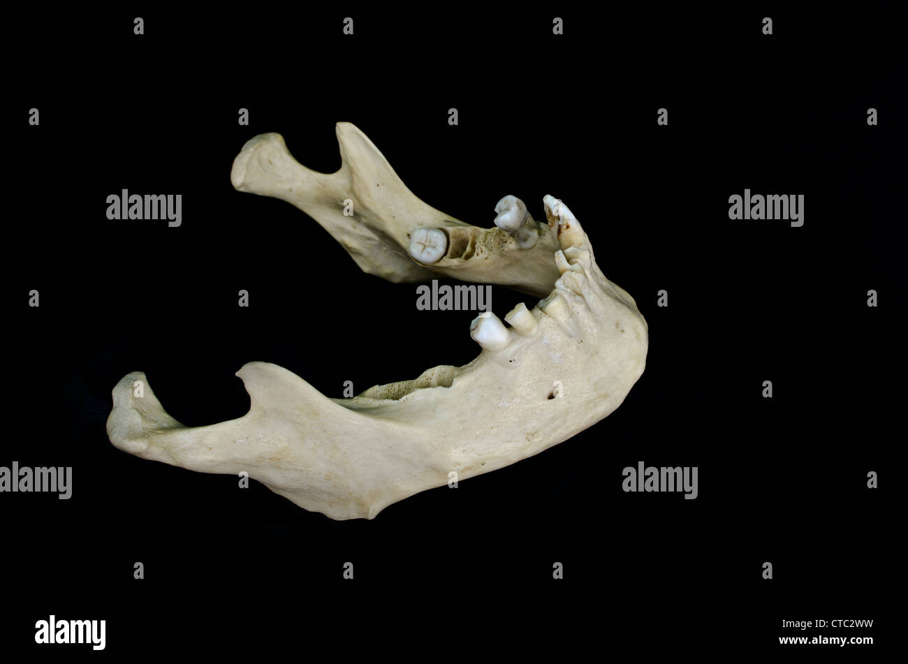 Supero High Resolution Stock Photography and Images - Alamy