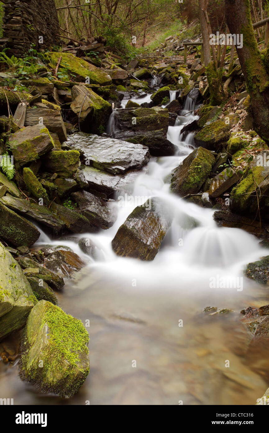 Stream of Salgueira Stock Photo - Alamy
