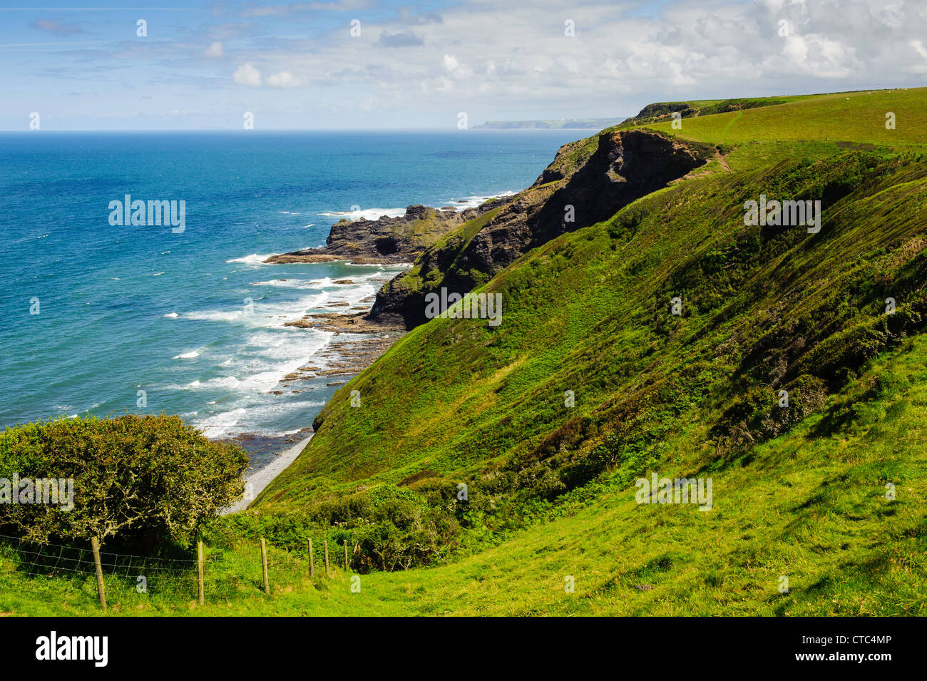 Thorns beach hi-res stock photography and images - Alamy