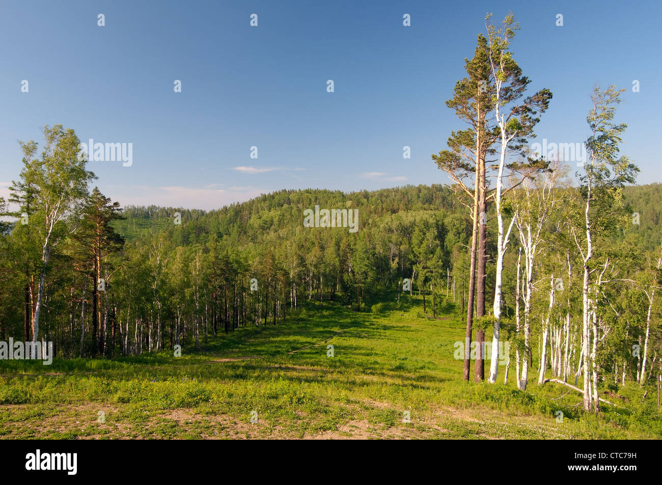 Russian landscape. Siberia, Russian Federation Stock Photo - Alamy