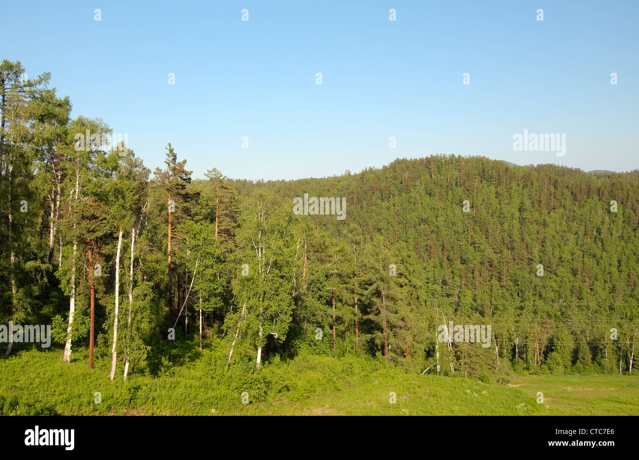 Russian landscape. Siberia, Russian Federation Stock Photo - Alamy