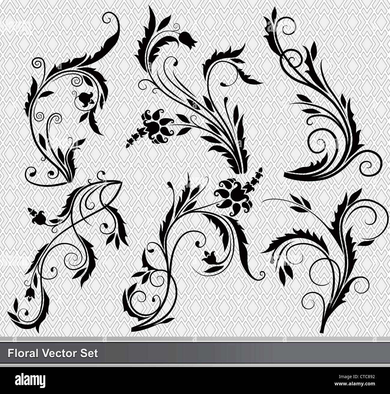 set of floral elements vector Stock Photo - Alamy