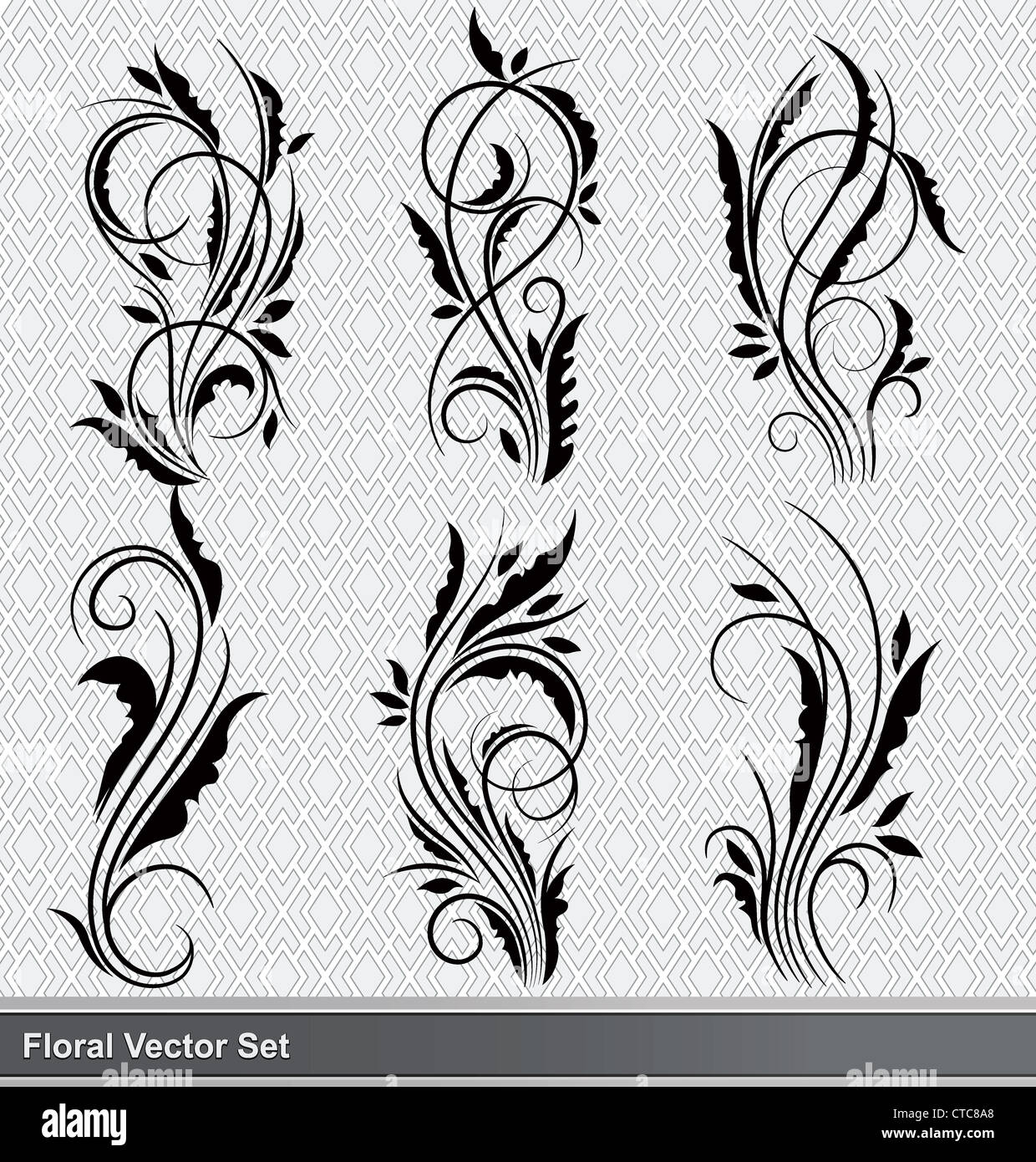 set of floral elements vector Stock Photo - Alamy