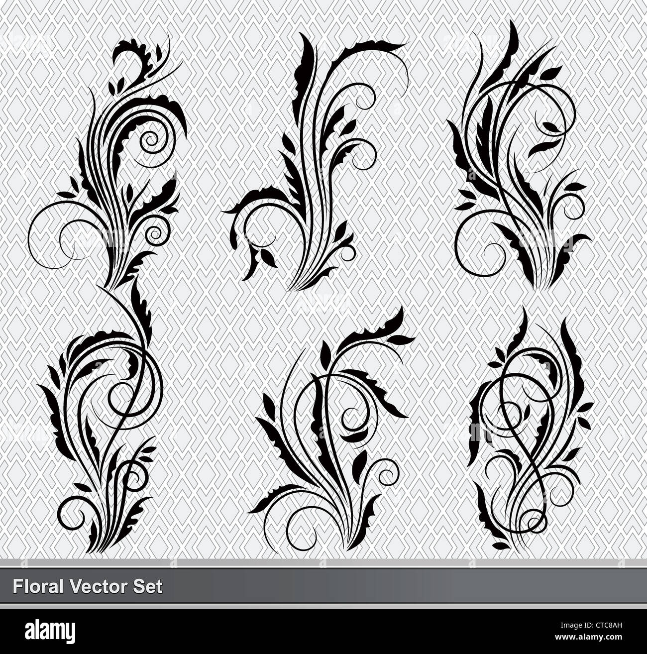 set of floral elements vector Stock Photo - Alamy