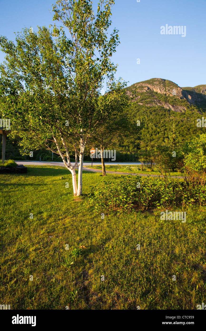 Franconia Notch State Park - Scenic view along the Franconia Notch Bike ...
