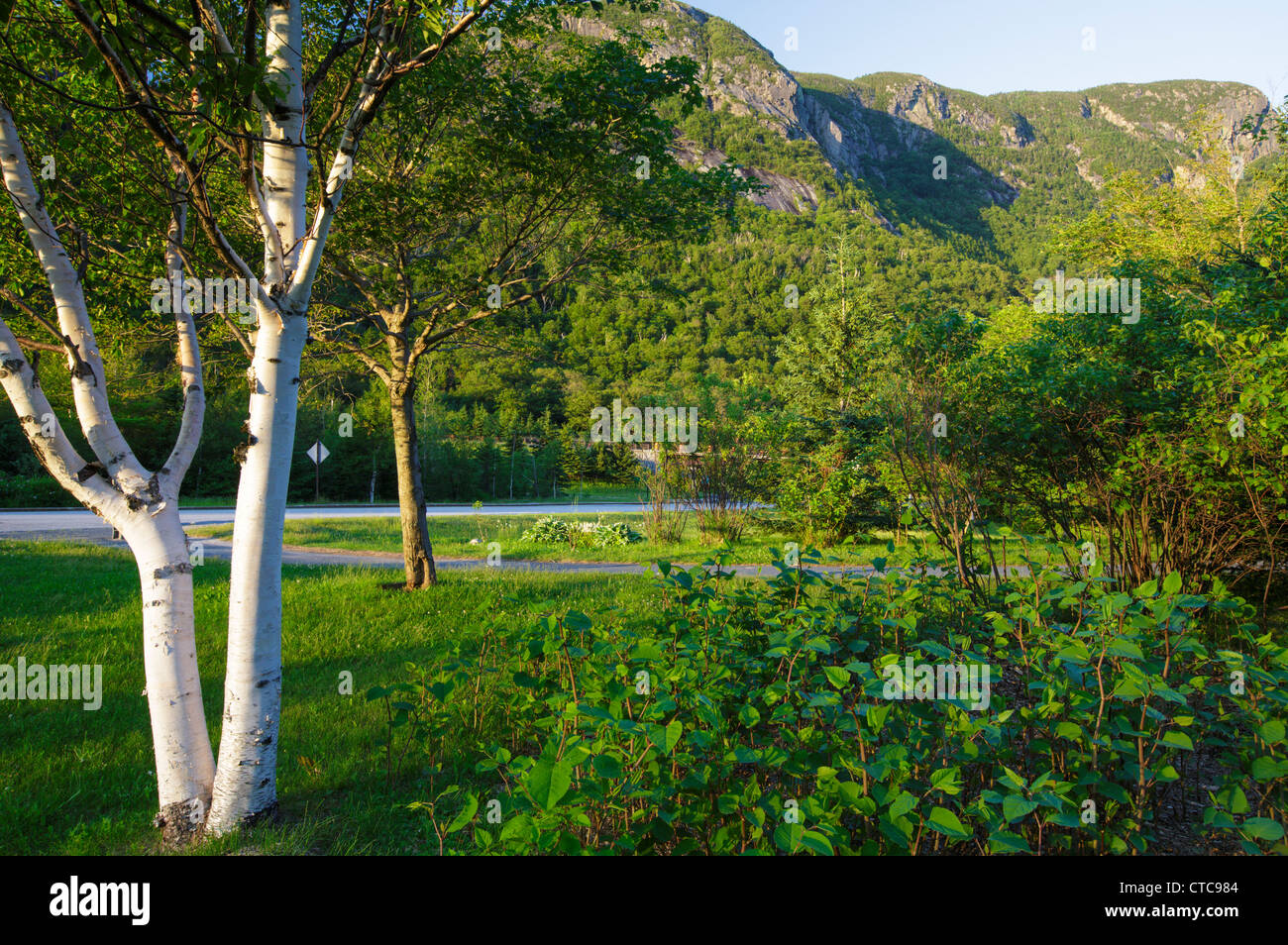 Franconia Notch State Park - Scenic view along the Franconia Notch Bike ...