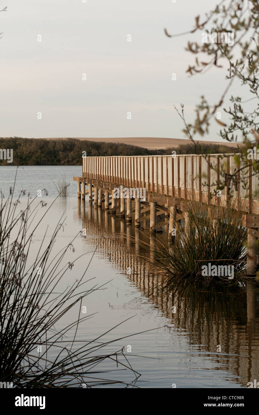 Oso Flaco Lake Natural Area California State Park Stock Photo - Alamy