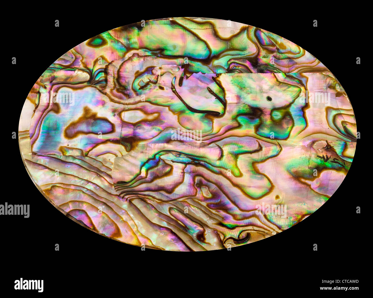 Macro pearl nacre texture hi-res stock photography and images - Alamy