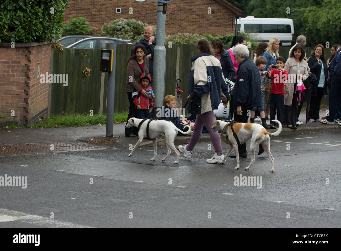 Owner with dogs going to see the Olympic Torch Relay, A6,Oadby ...