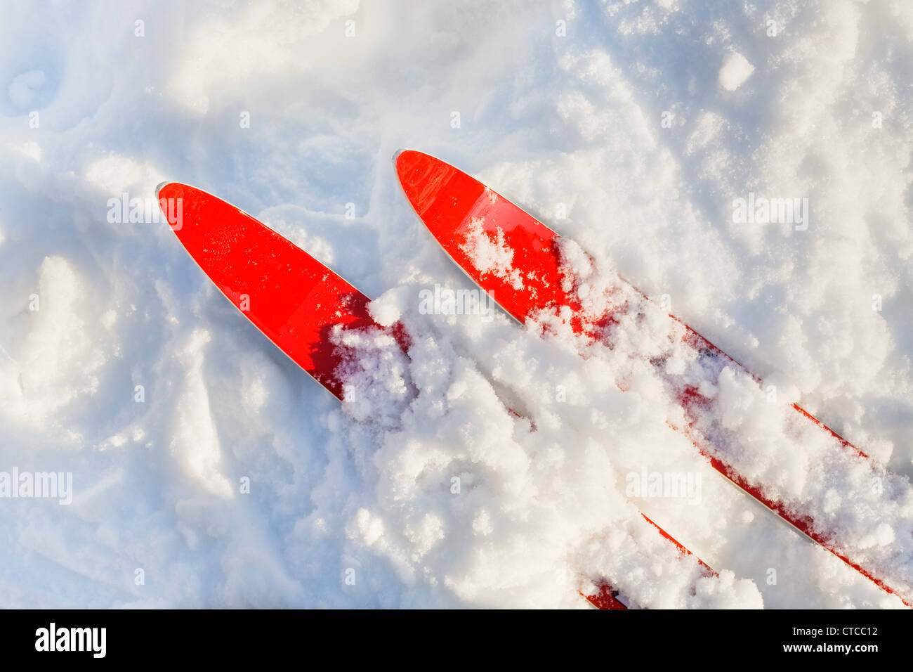 tips of red skis in sunny snow Stock Photo - Alamy