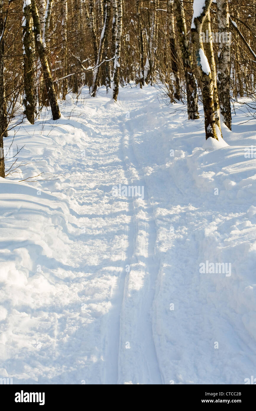 ski track in sunny winter park Stock Photo - Alamy