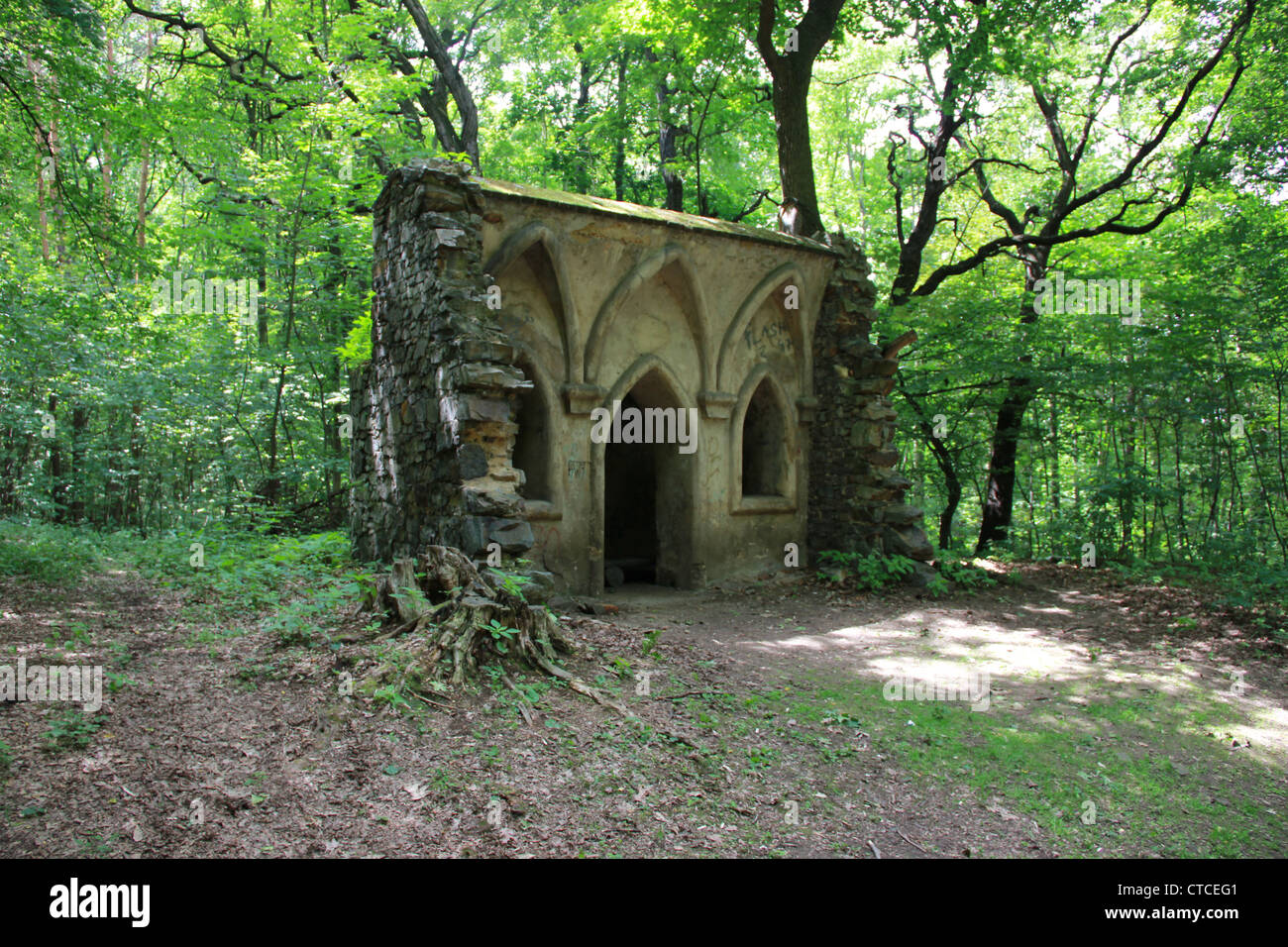 Park Forest Trees Cibulka Prague Czech Republic Stock Photo - Alamy