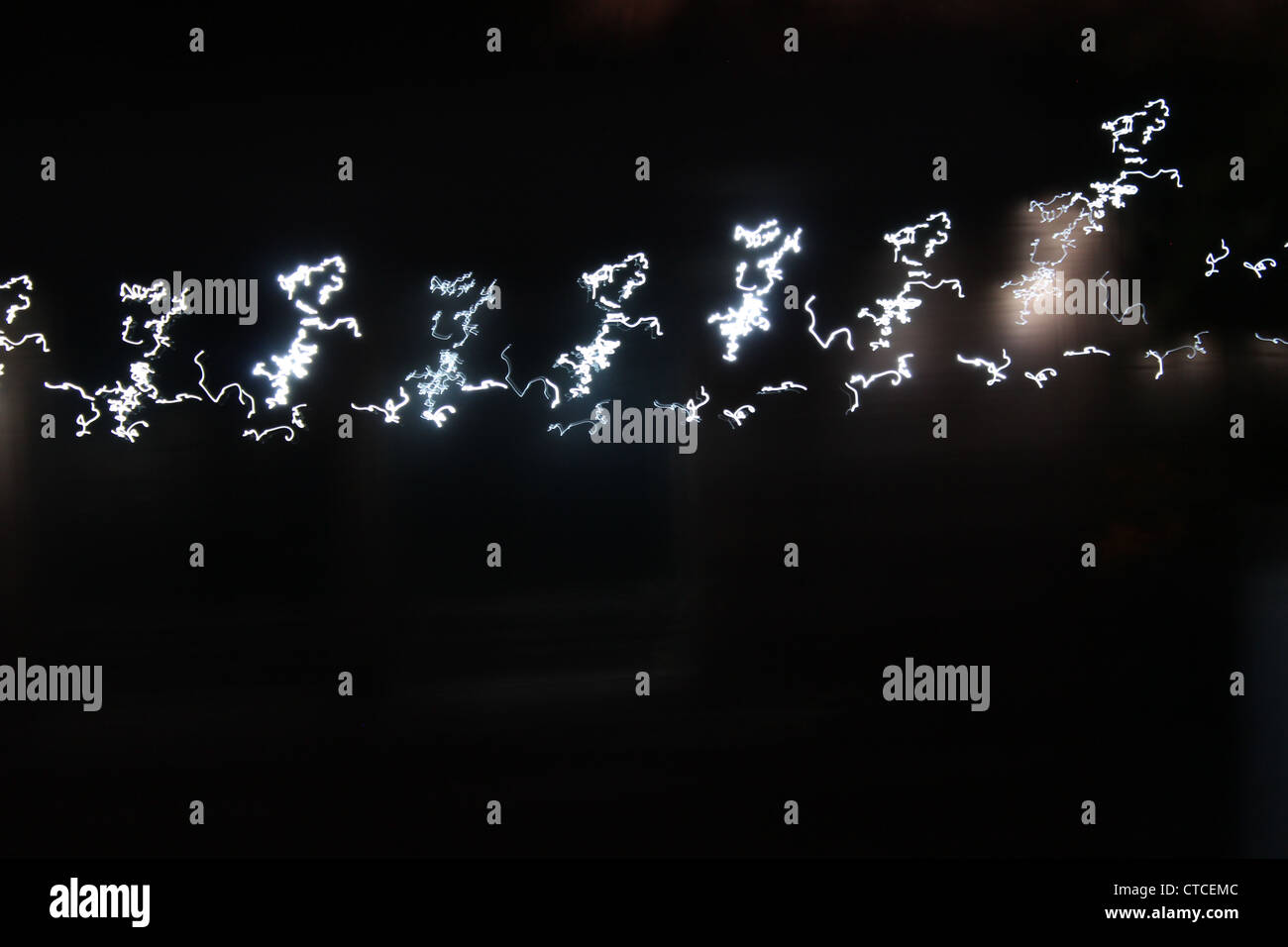 Animals that can fly hi-res stock photography and images - Alamy