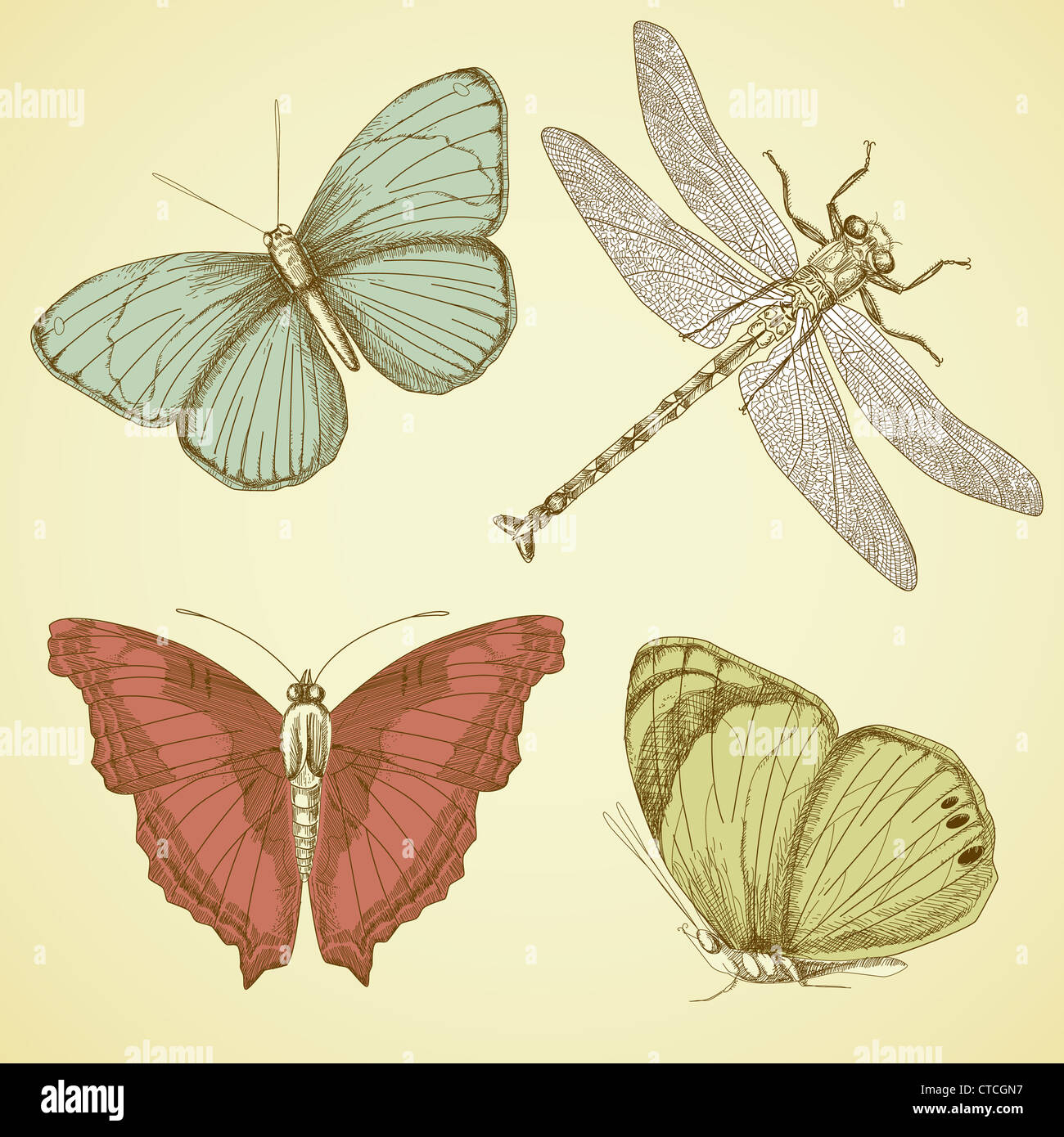 Vintage Butterfly collection Stock Photo - Alamy