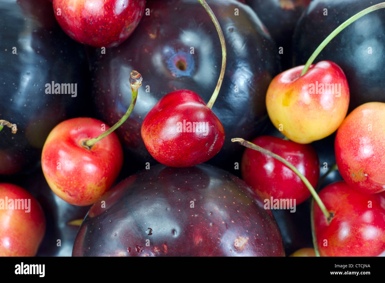 Close view plums and cherries Stock Photo - Alamy