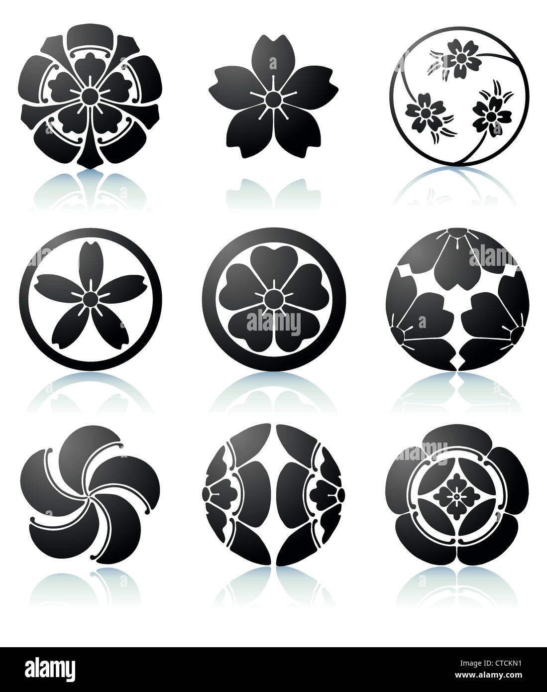 Vector illustration set of abstract Sakura graphic elements in japanese ...